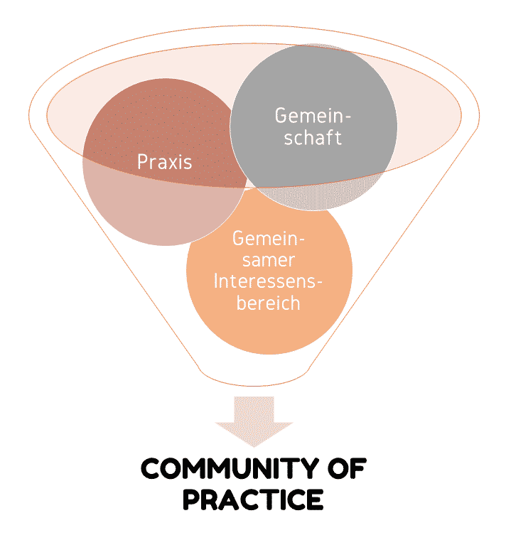 Communities of Practice im Instrumentalunterricht - Benedikt Plößnig